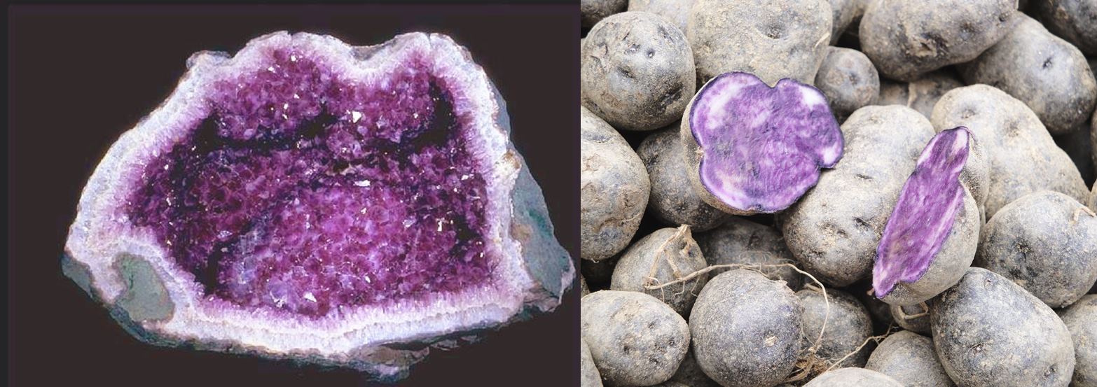 Amethyst: All you need to know about the birthstone for February babies