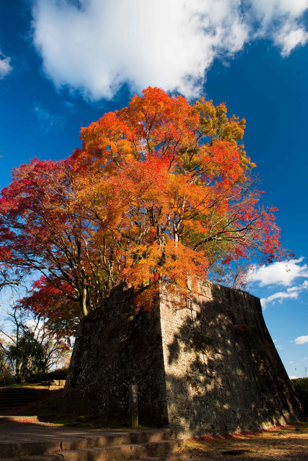 Venture into the Ryokans, Onsens and Forests of Japan | Prestige Online ...