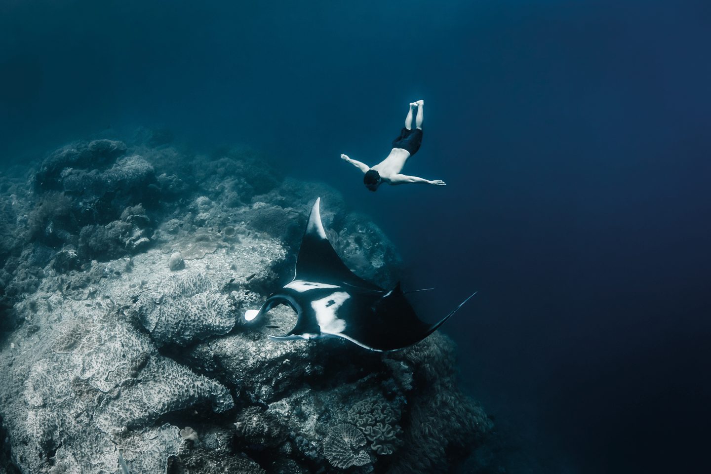 HAMISH DAUD: Code Red | Prestige Online - Indonesia