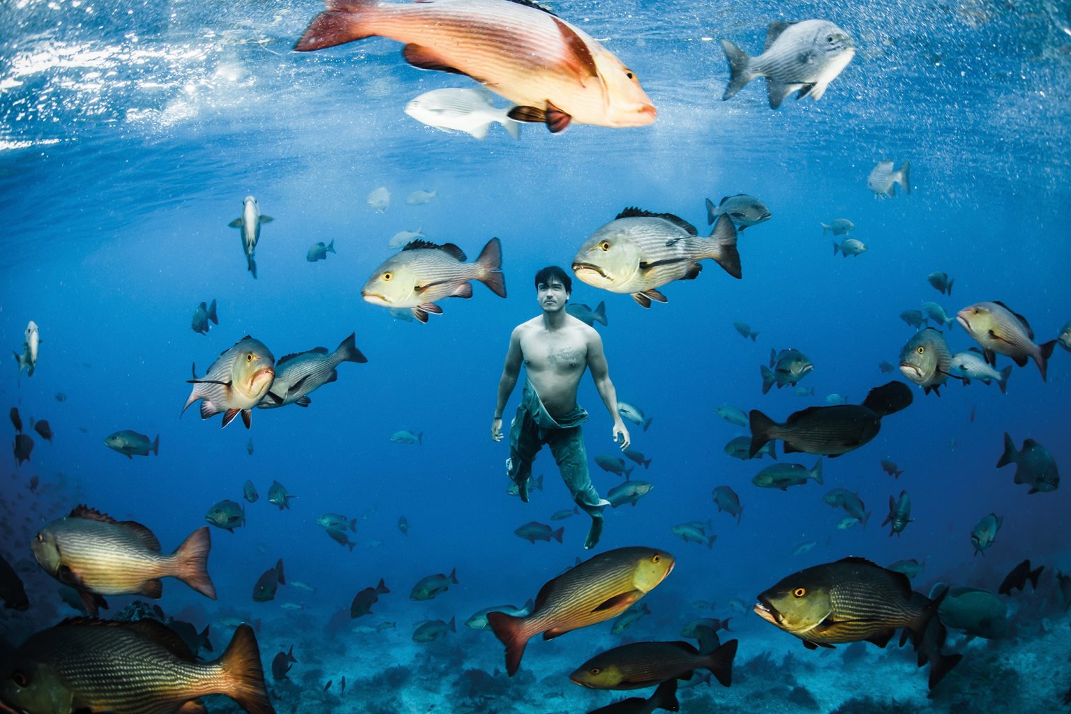 HAMISH DAUD: Code Red | Prestige Online - Indonesia