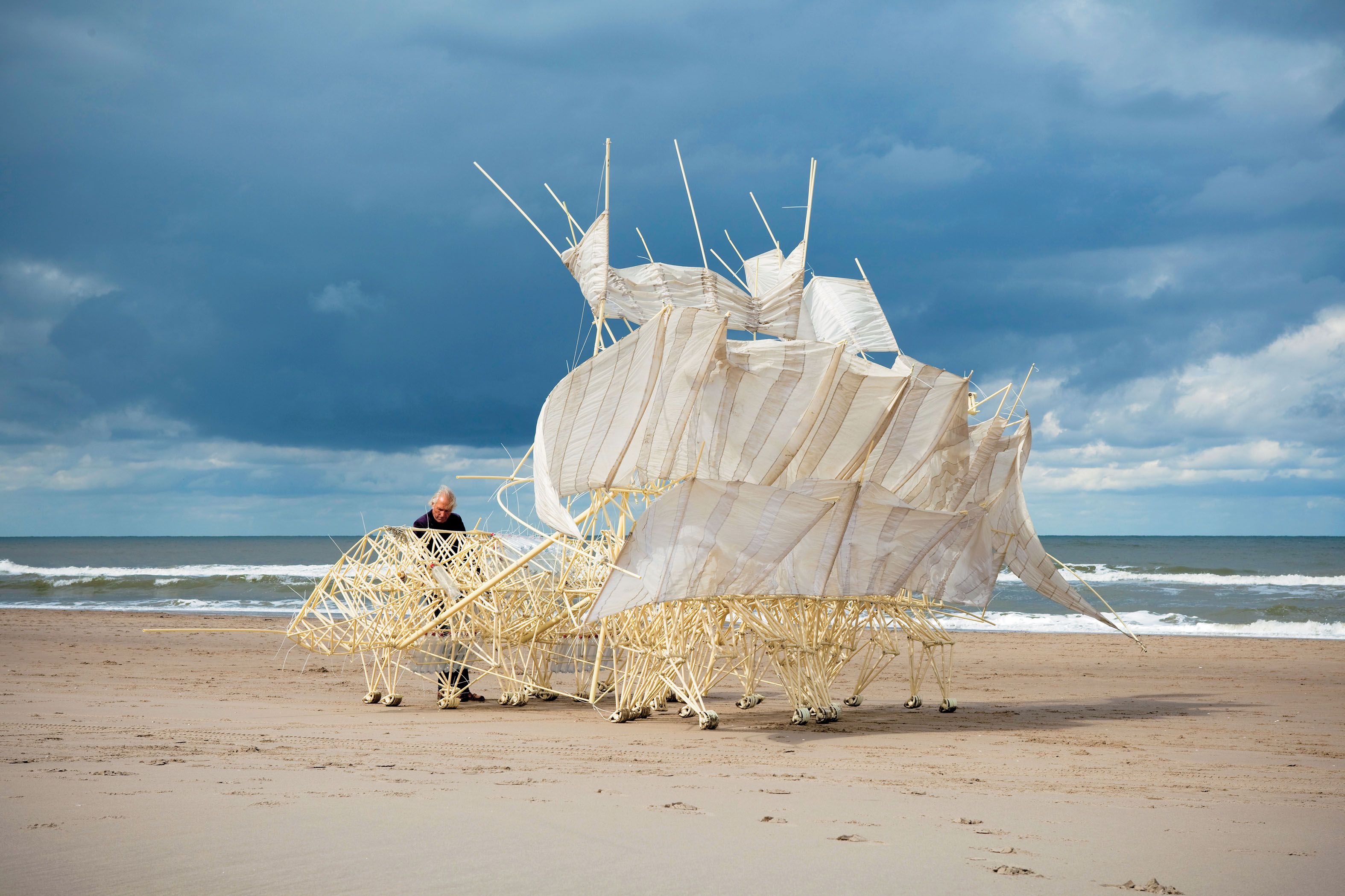 Theo Jansen Refuses To Call His Kinetic Sculptures As Artworks