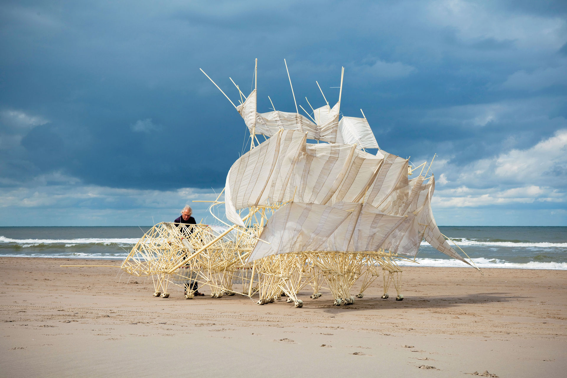 Theo Jansen Refuses To Call His Kinetic Sculptures As Artworks