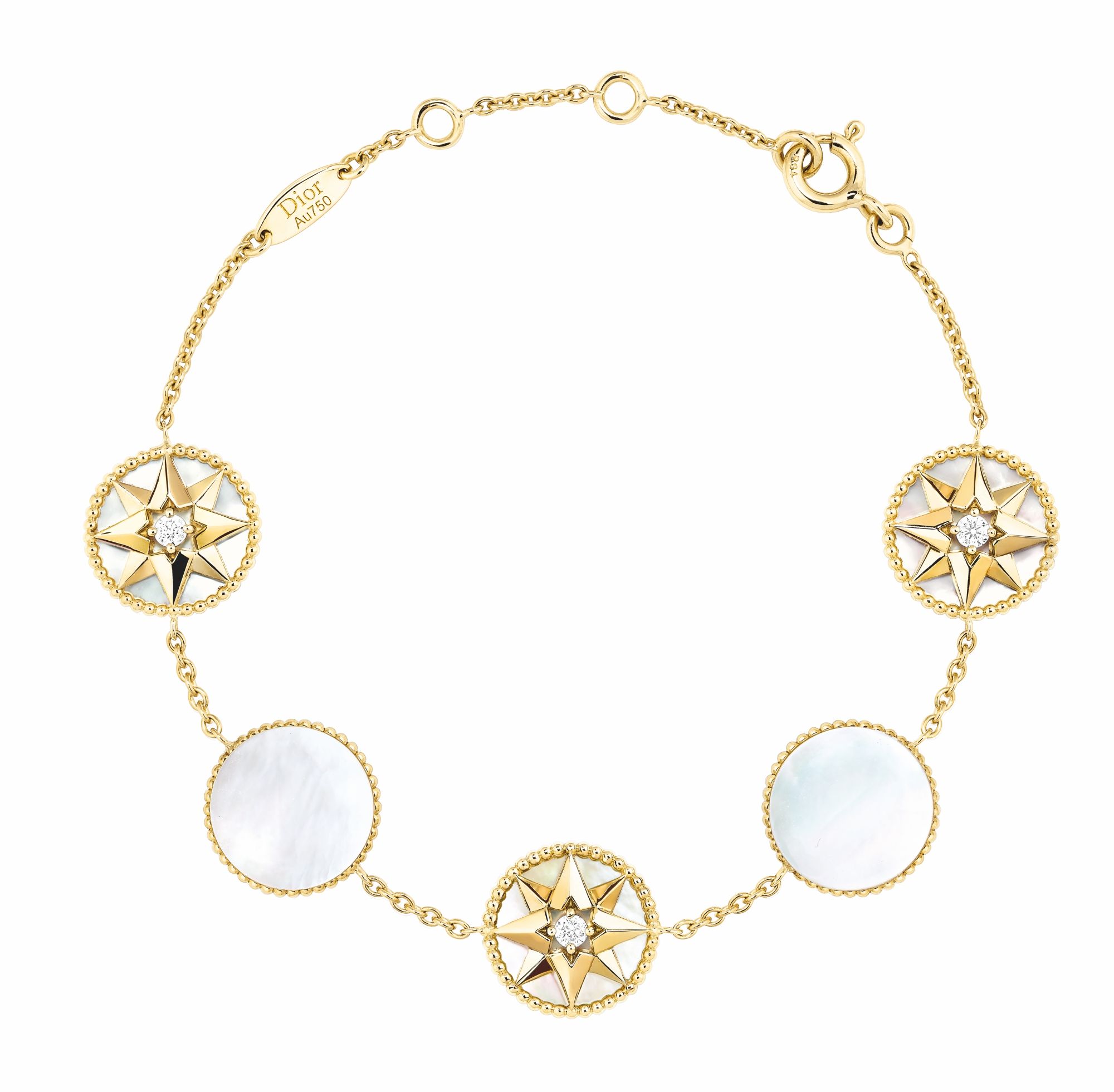 The Rosy Story Of The Dior Rose Des Vents Jewellery Collection