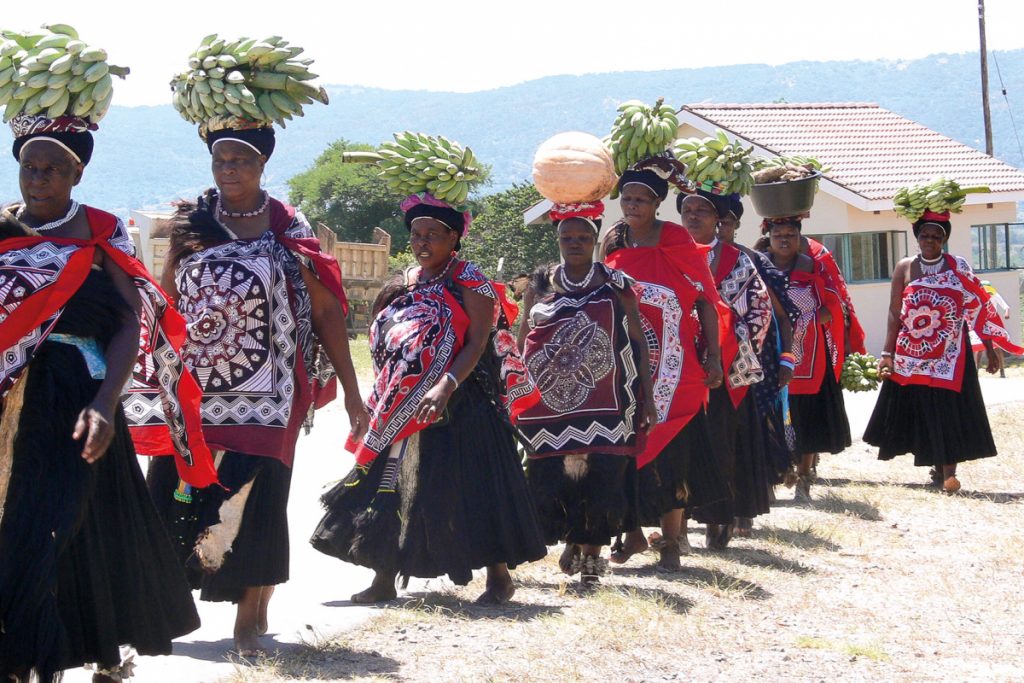 Much Ado About Marula — The Multi-Use African Superfruit
