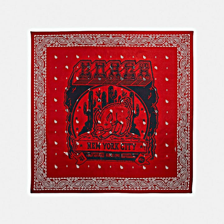 Celebrate the Year of the Pig with these Chinese New Year 2019 capsule ...