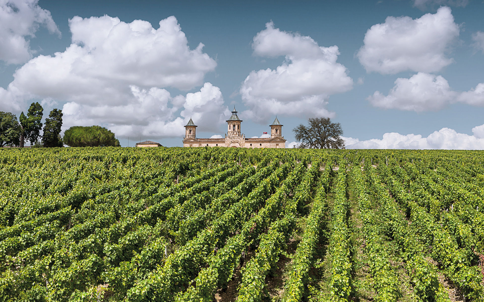 Wine to Know: Château Cos d’Estournel's Pagodes de Cos