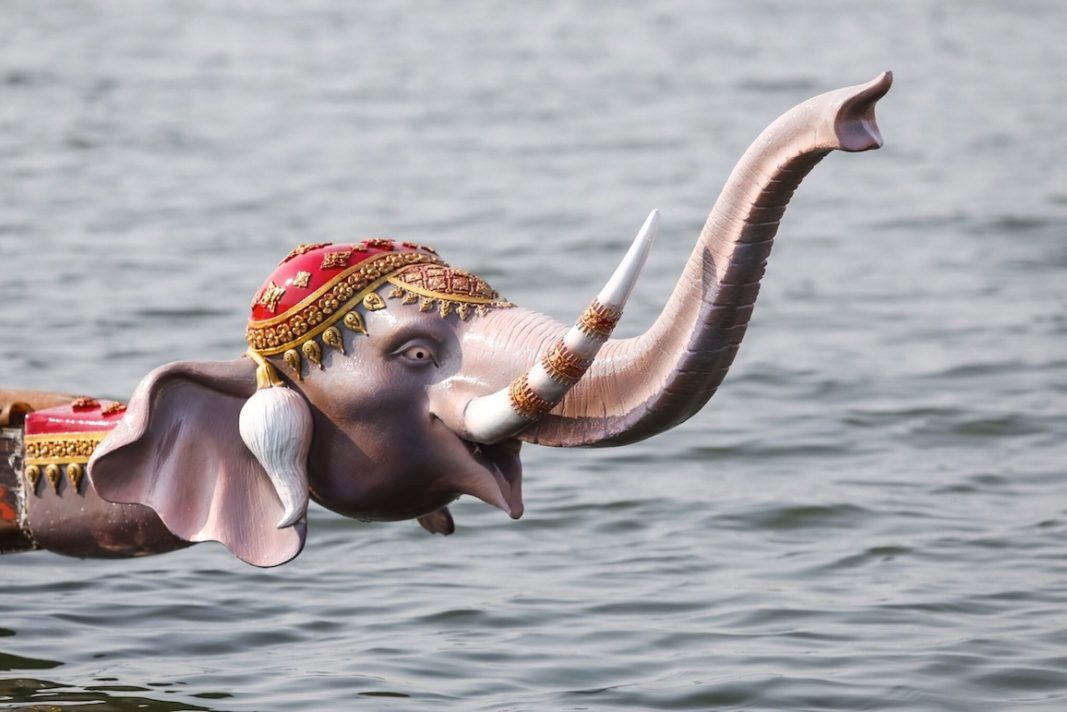 The First Elephant Boat Race and River Festival Takes Place this March
