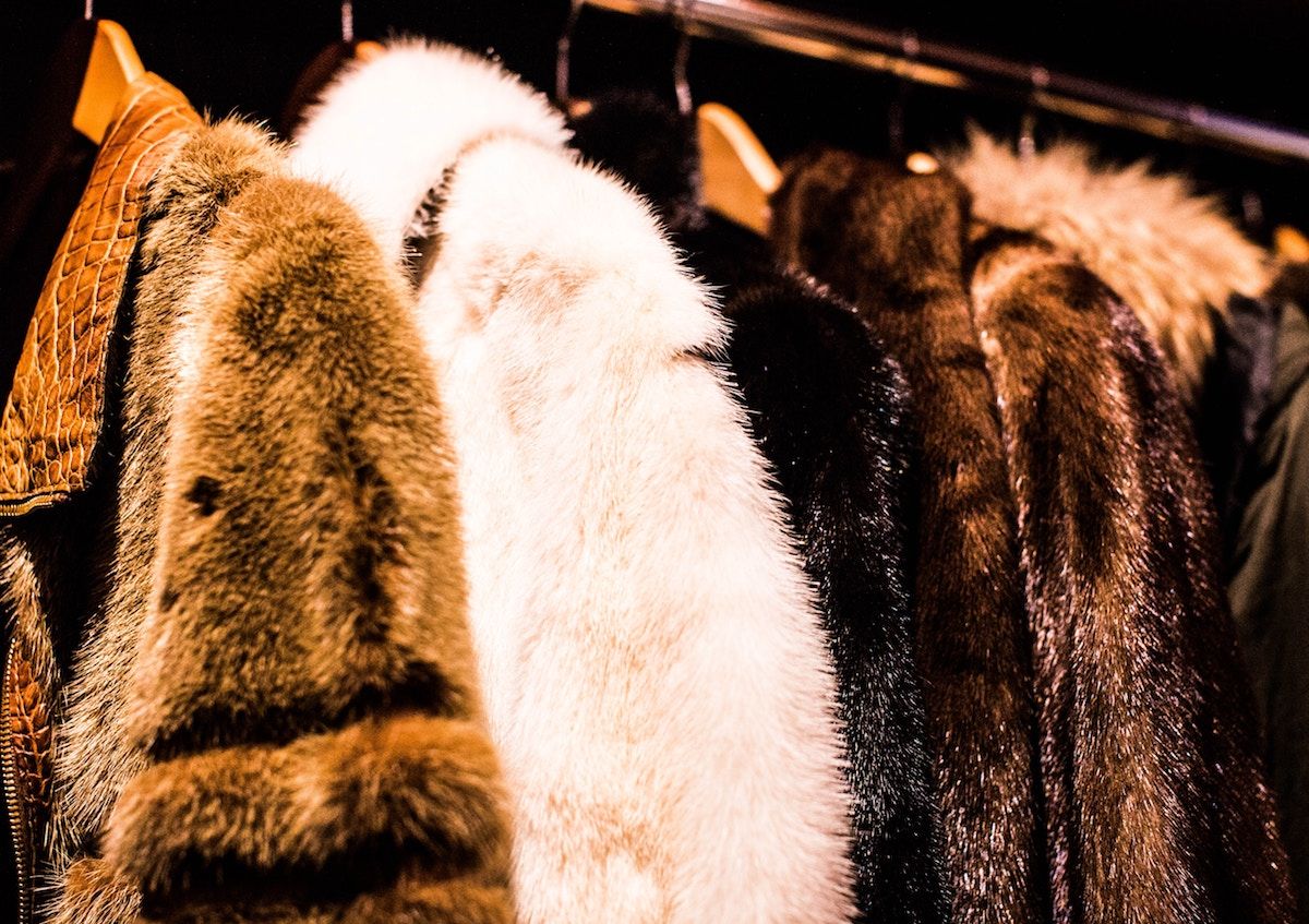 The fashion labels that have gone fur-free: Brands that banned fur