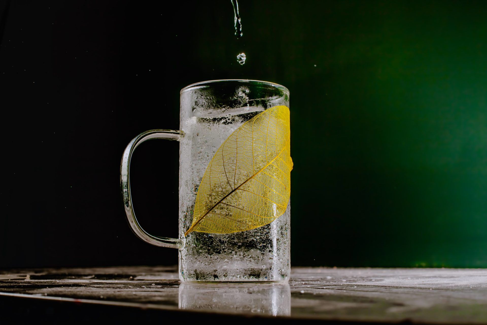 Tell Camellia, Hong Kong's First Tea-Inspired Cocktail Bar, Opens in ...