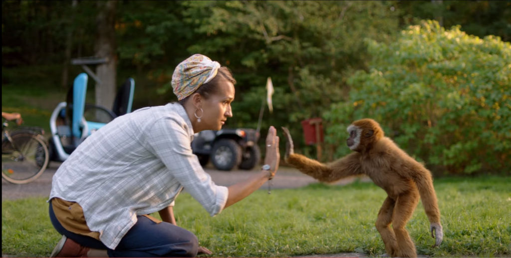 Upcoming Movie Screenings Film Buffs Won’t Want to Miss