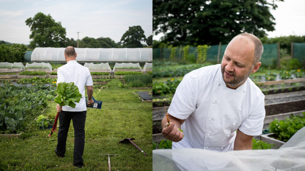 Getting to The Root of Roganic Chef Simon Rogan's Culinary Consciousness
