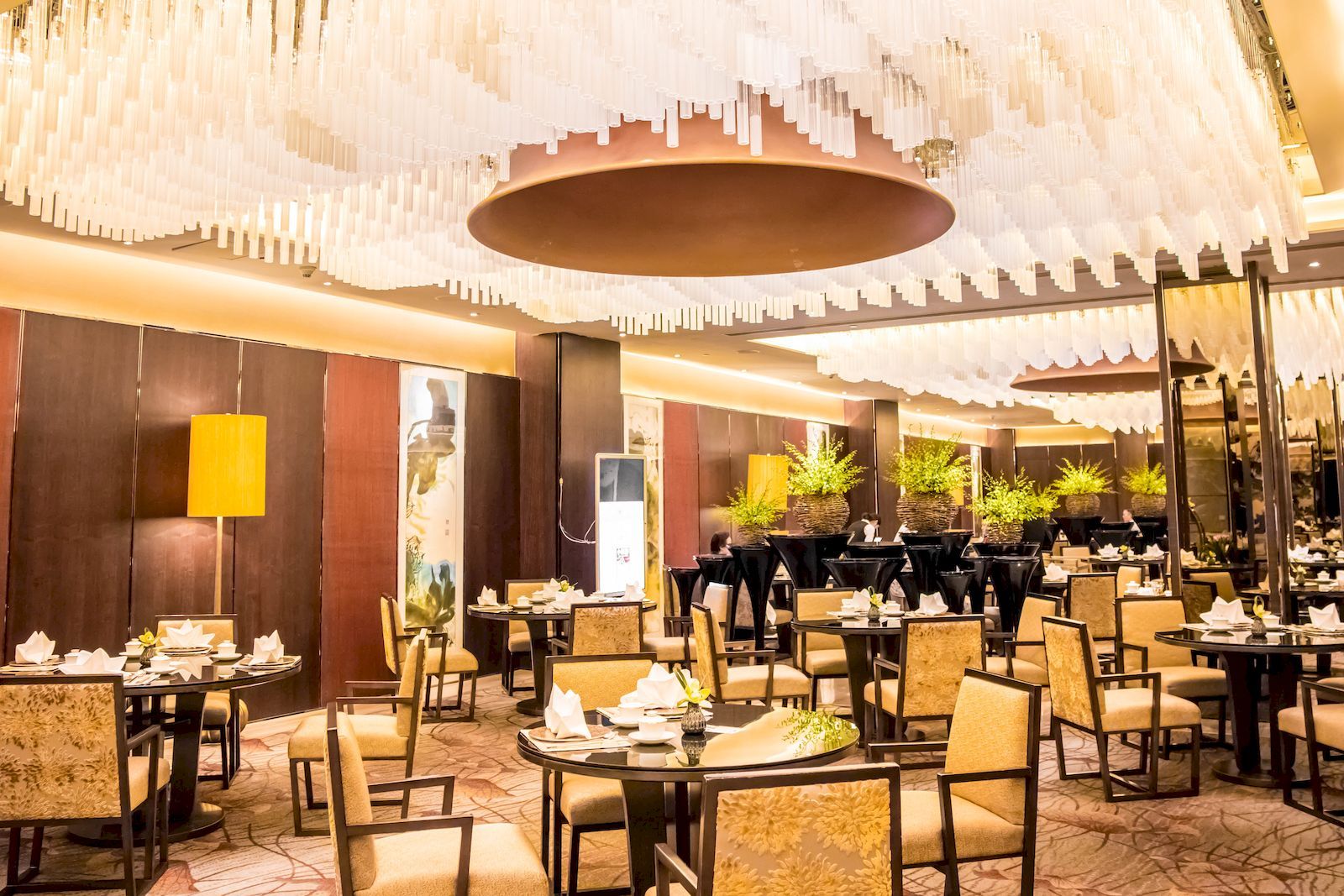 Where to eat in Shenzhen