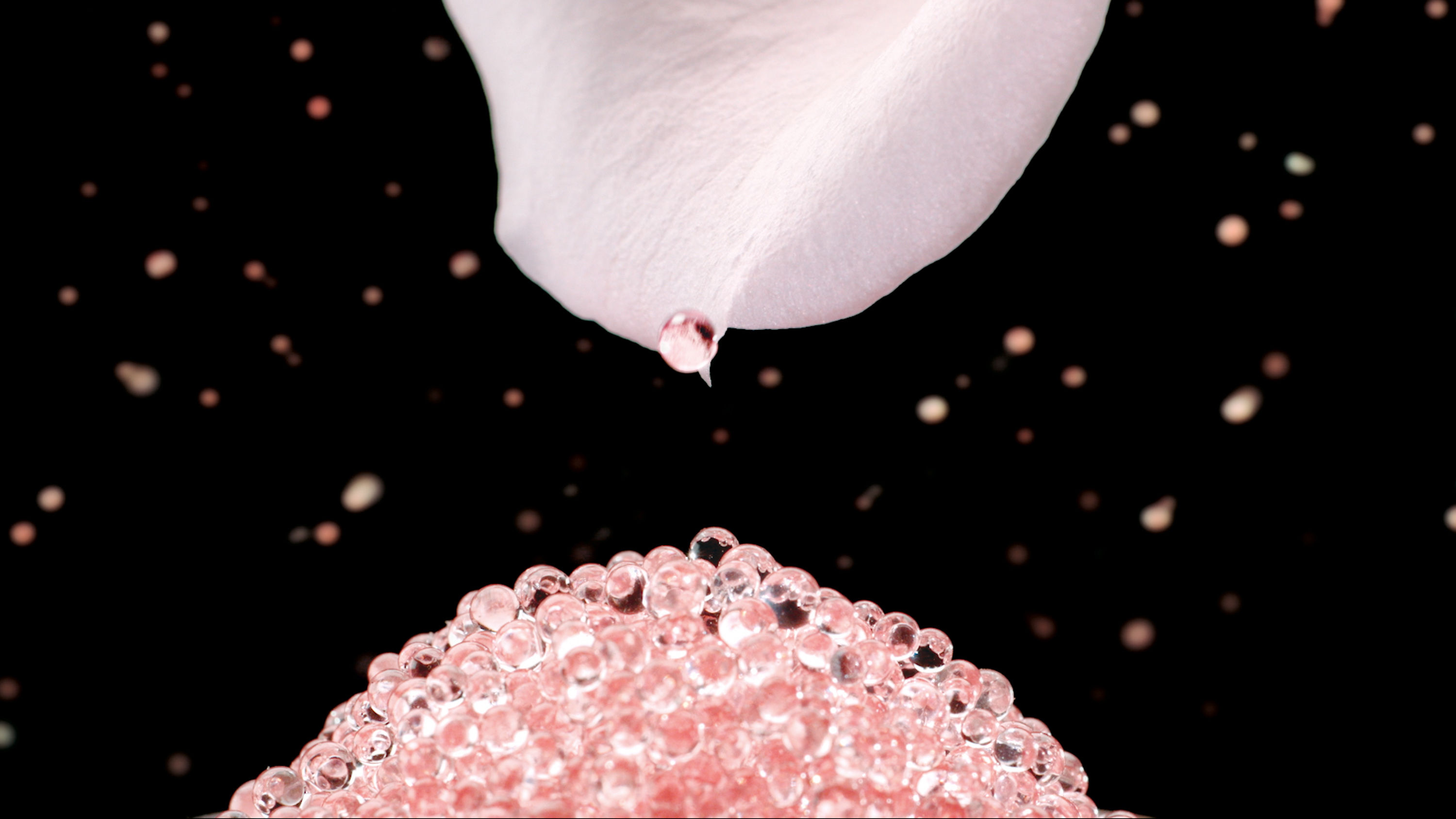 Unlocking the Secret Behind Dior Prestige Le Micro-Caviar de Rose ...