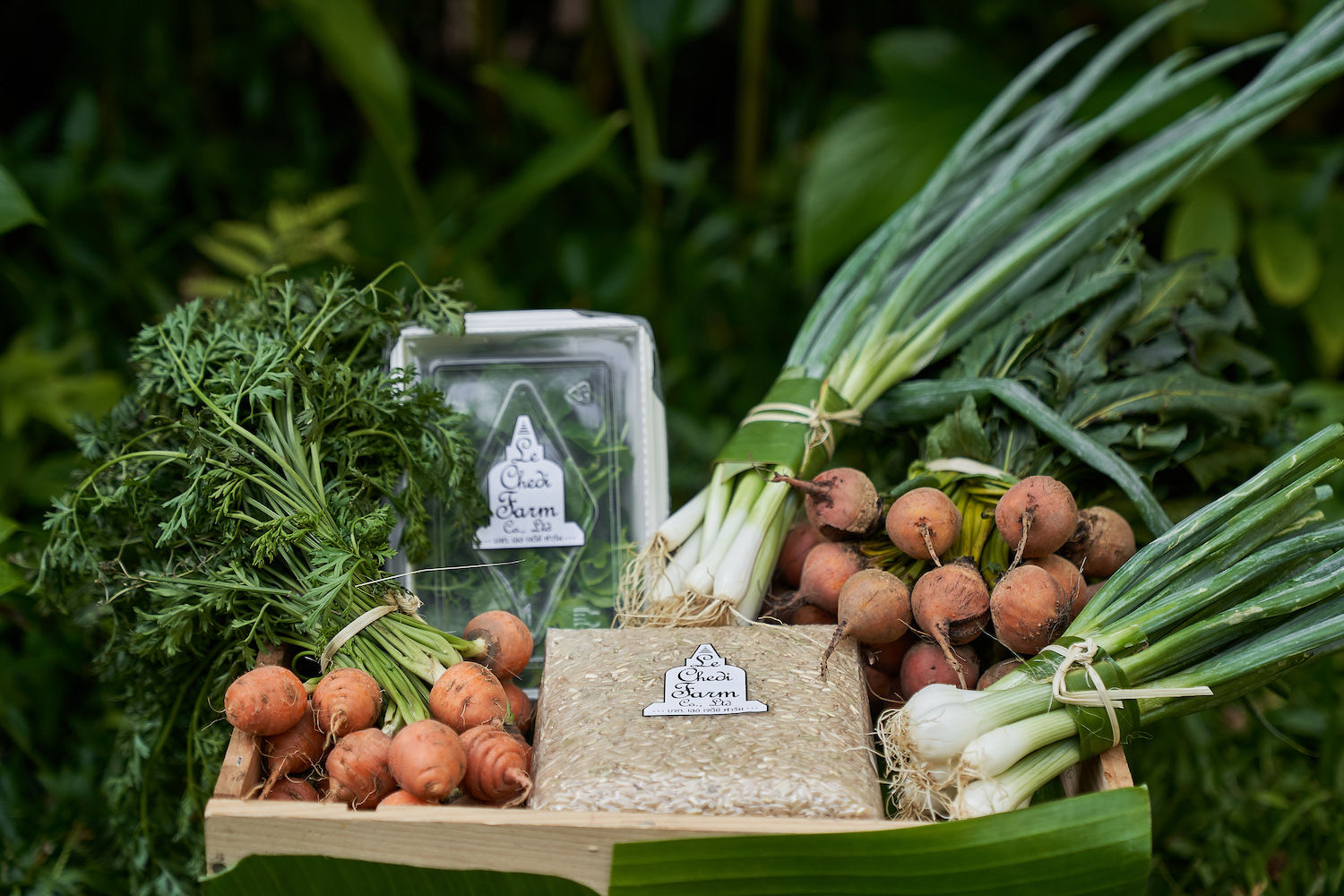 6 Organic Grocery Home Delivery Options Available in Bangkok