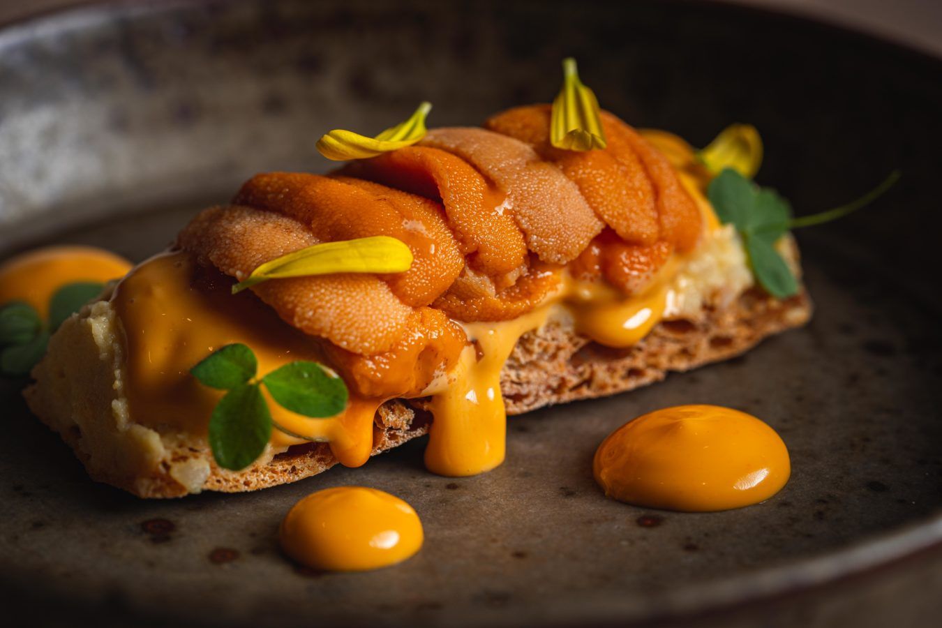 22 Ships Makes a Comeback with New Chef, Fresh Look and Flavourful Tapas
