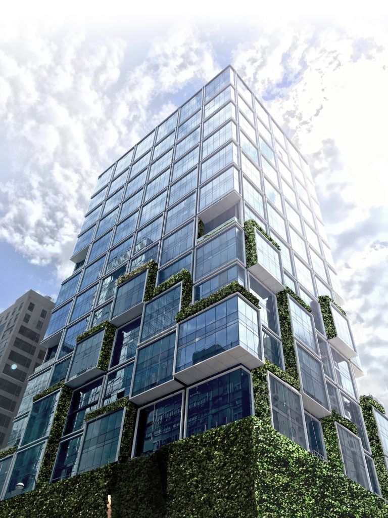 Greening the Concrete Jungle: Hong Kong's Eco Transformation