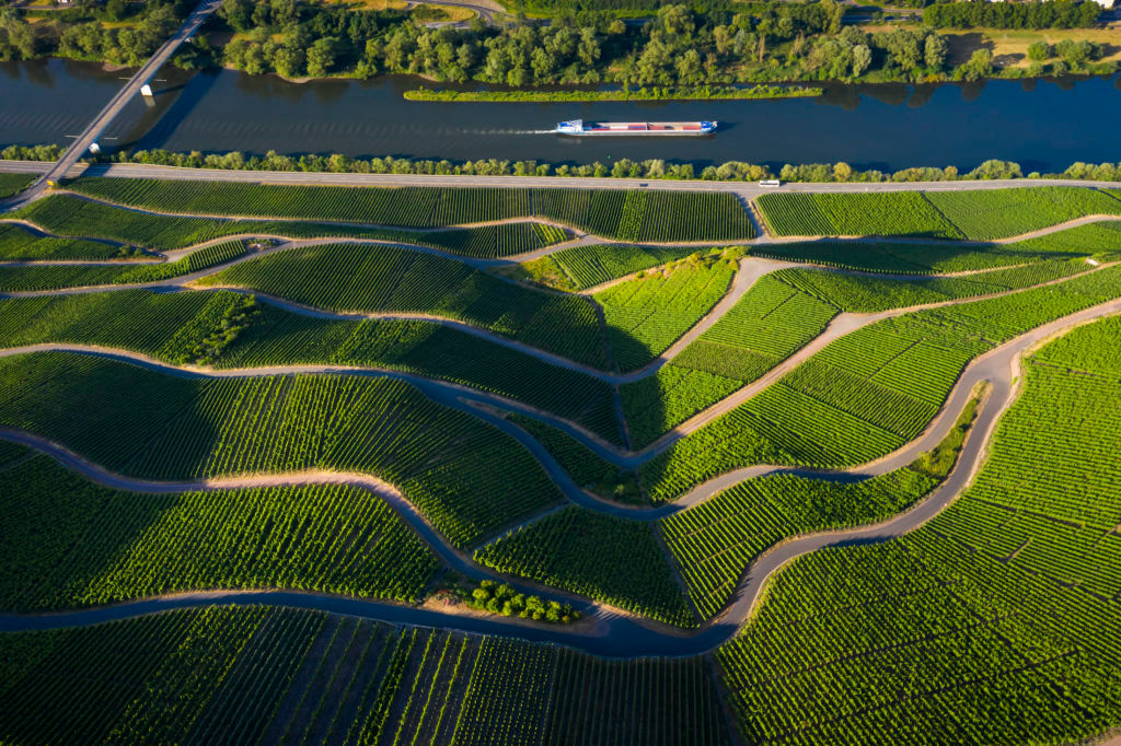 The Good & The Great: The Best German Wines of the Year