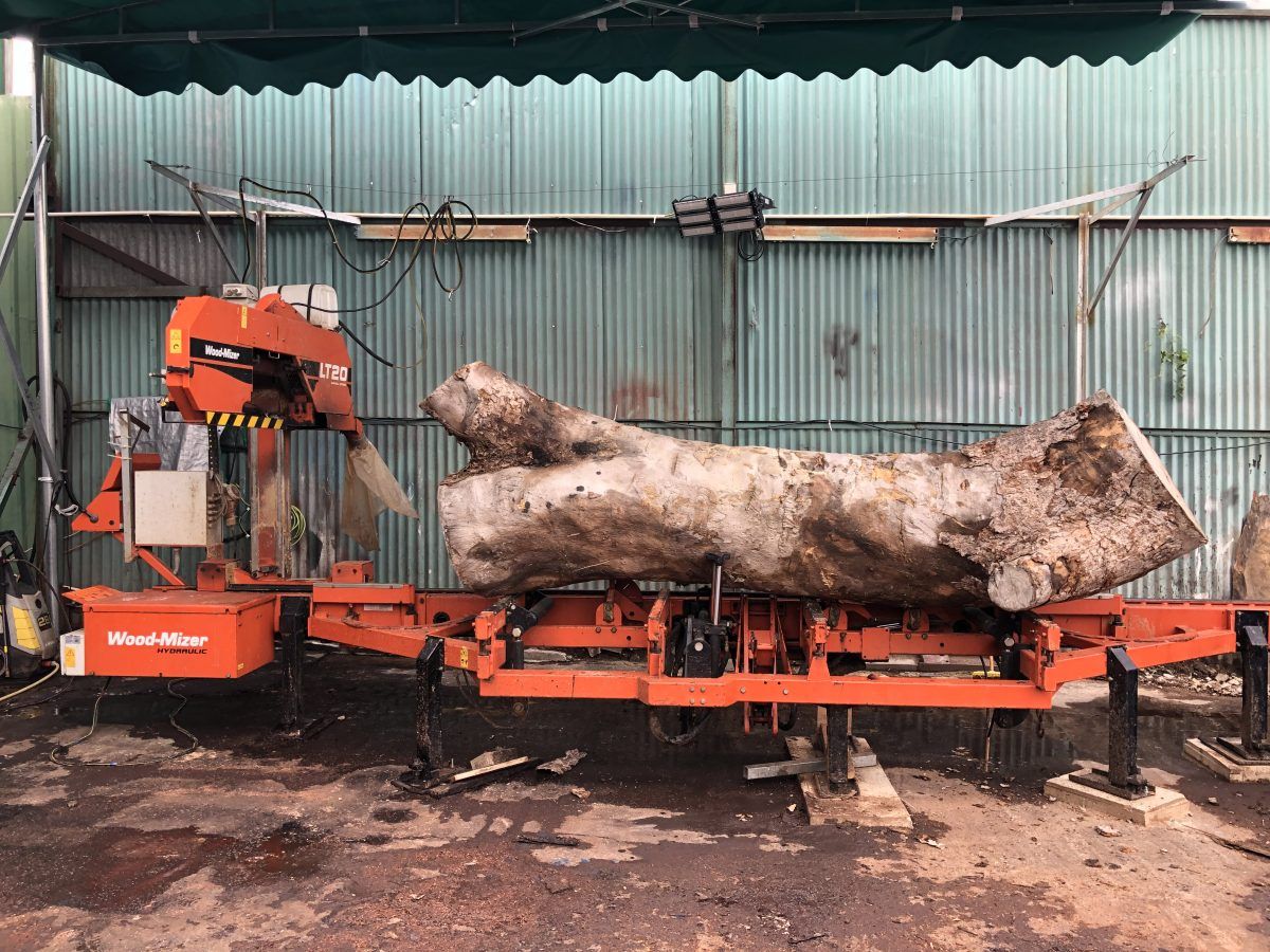 Waste Not: How Green Architecture Transforms Our Future