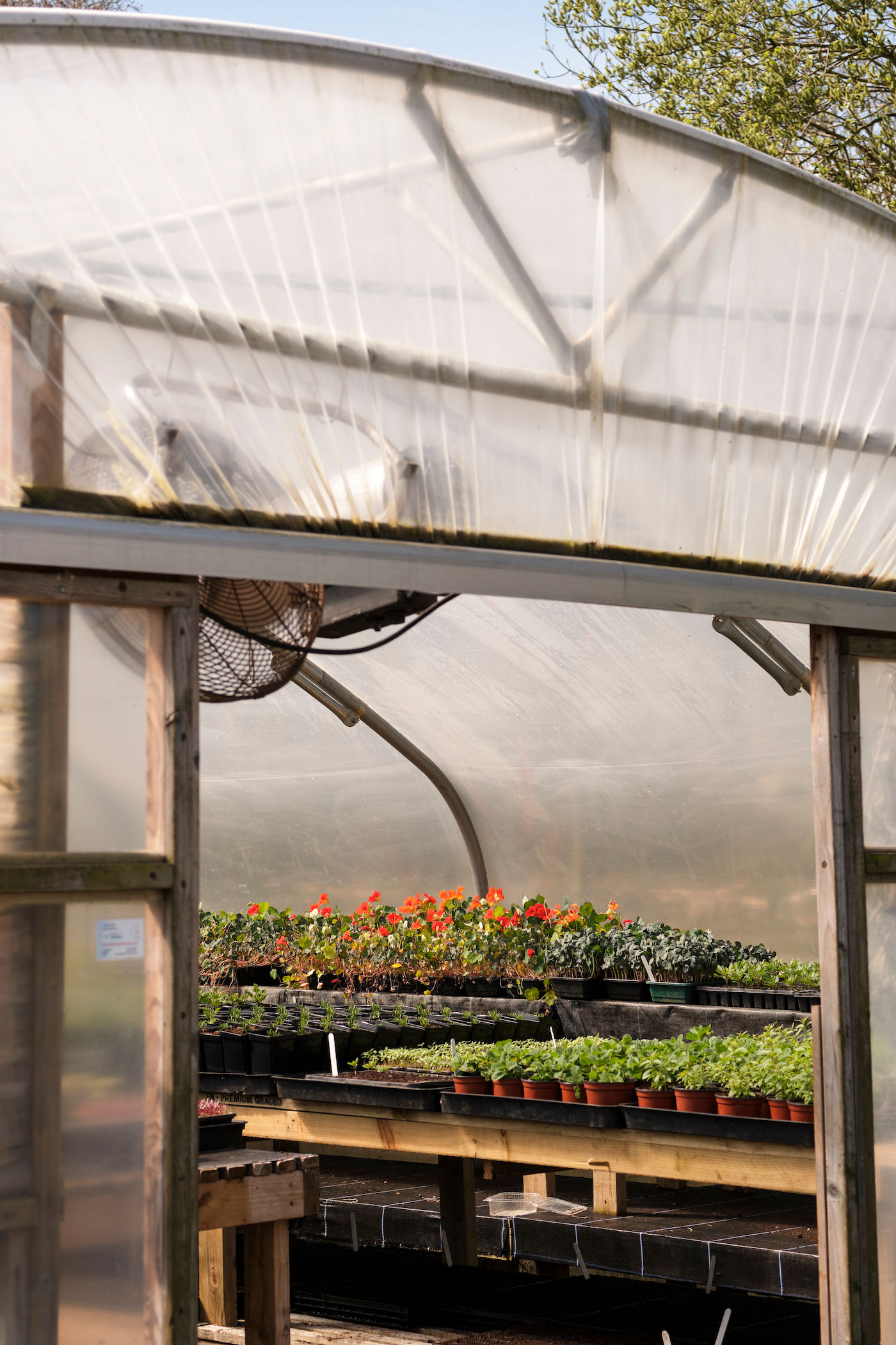 Organically Rogan: How Simon Rogan Triumphs By Doing Things Right ...