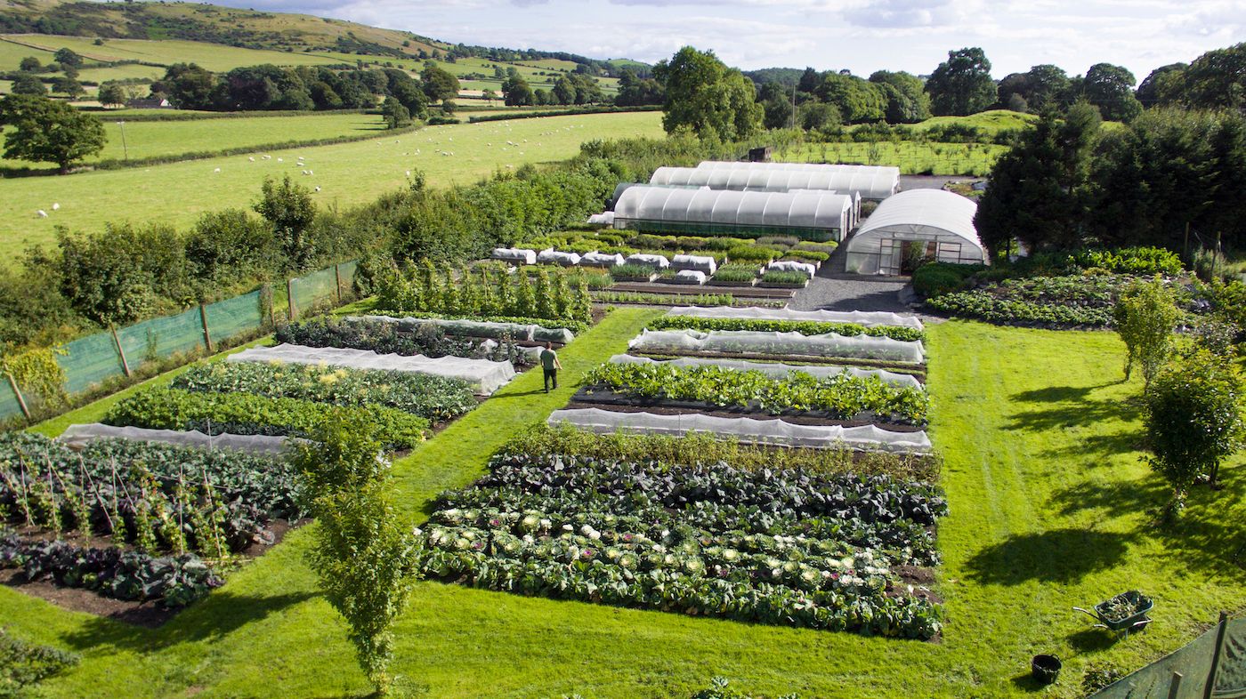 Organically Rogan: How Simon Rogan Triumphs By Doing Things Right ...