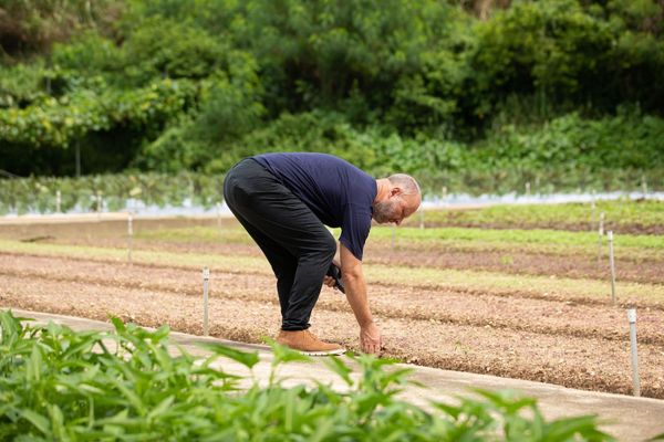 Organically Rogan: How Simon Rogan Triumphs By Doing Things Right ...