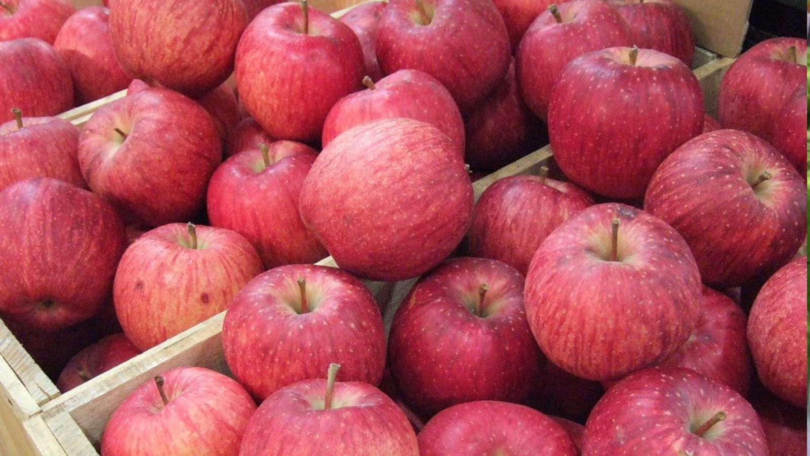 11 of the most expensive fruits in the world to splurge on