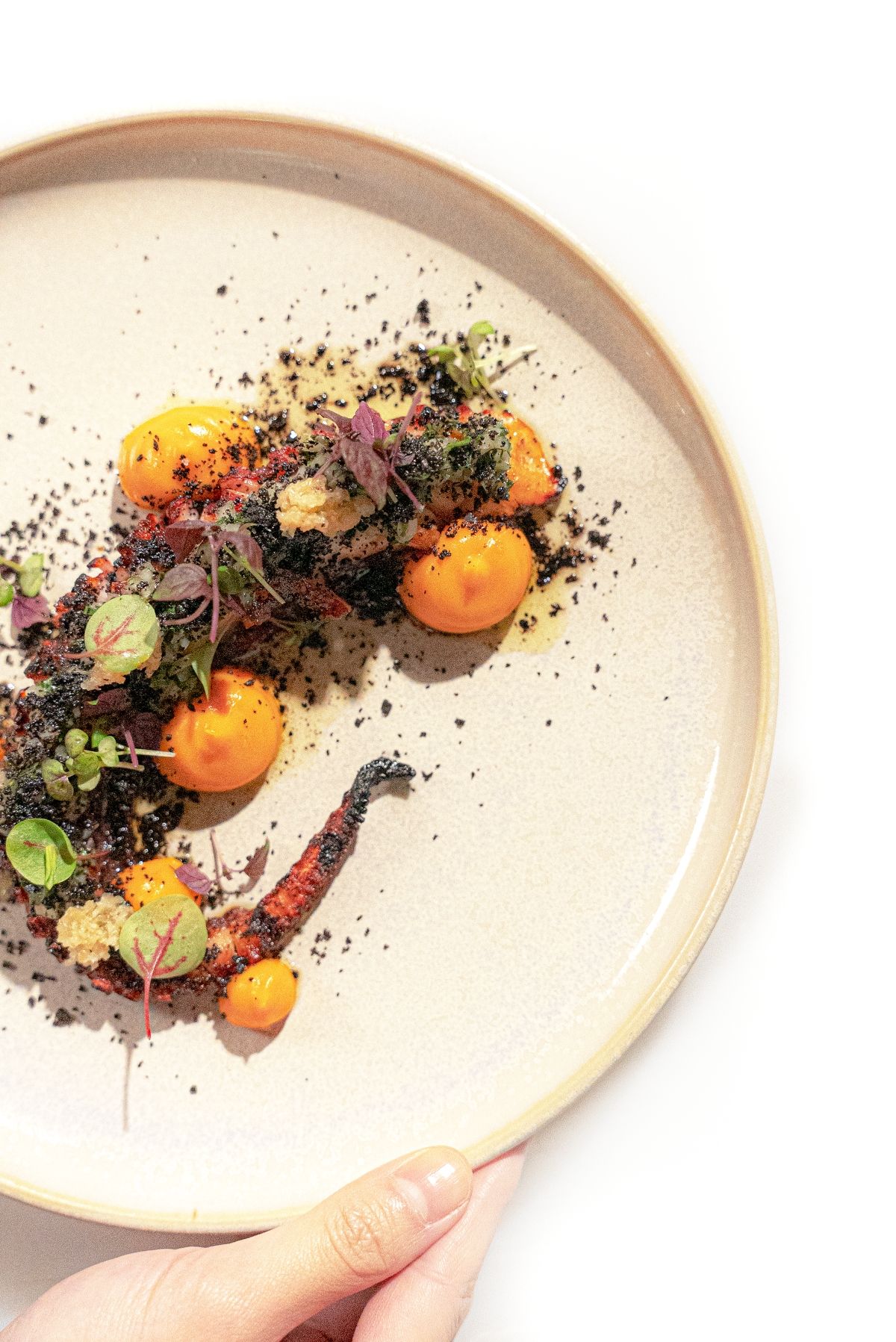 5 Restaurants with New Seasonal Menus to Check Out