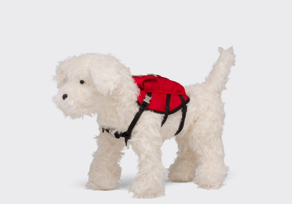 11 Most Expensive Luxury Pet Accessories for Your Fur Baby