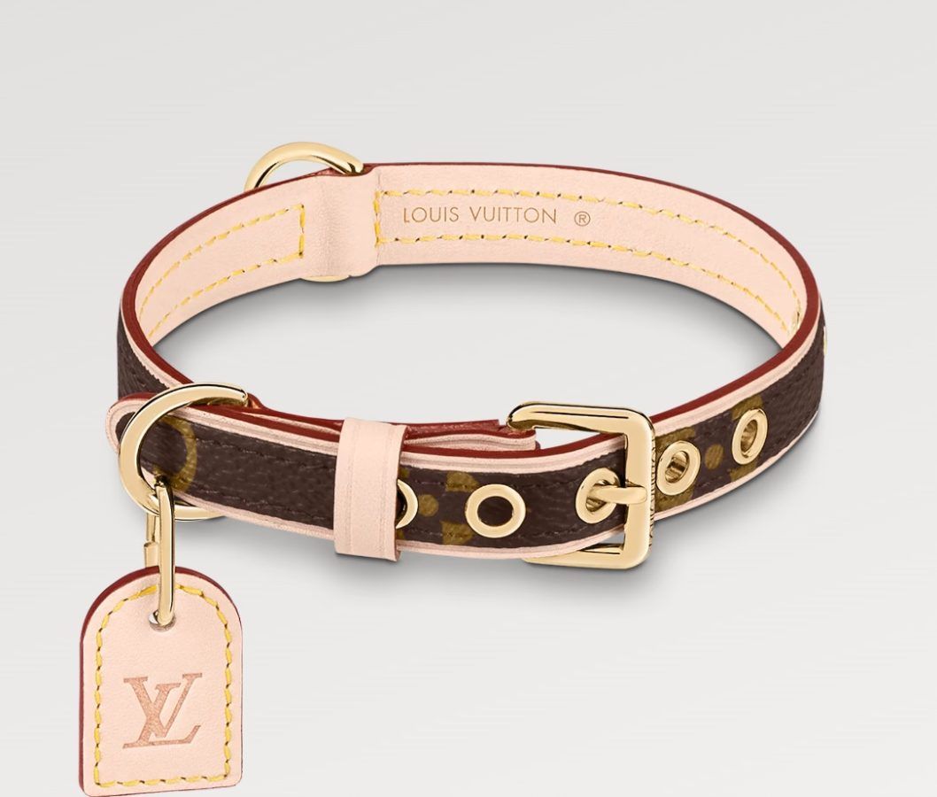 11 Most Expensive Luxury Pet Accessories for Your Fur Baby