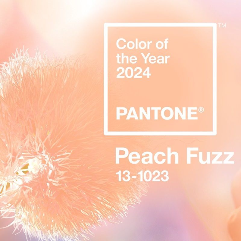 Pantone Picks Peach Fuzz as The 2024 Color of The Year