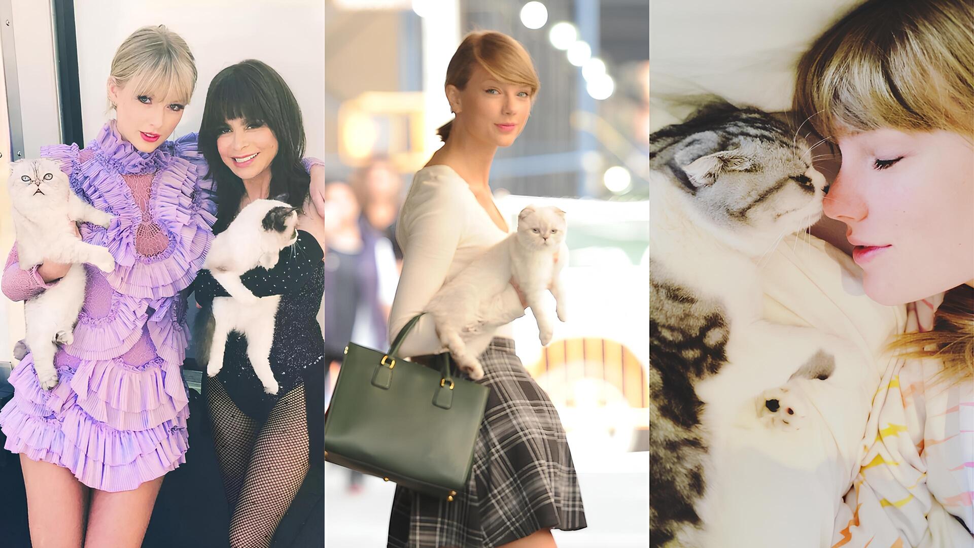 15 Best and Most-Streamed Songs by Taylor Swift on Spotify