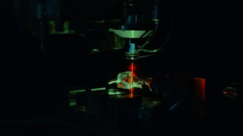 Tiffany & Co's Chief Gemmologist Victoria Reynolds on Tracing Stones