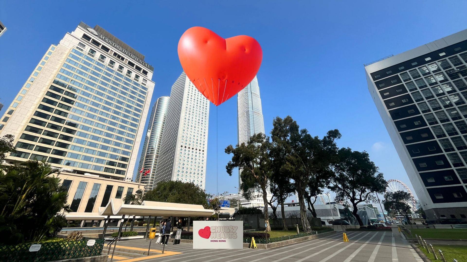 Chubby Hearts: A Showcase of Love and the Power of Design