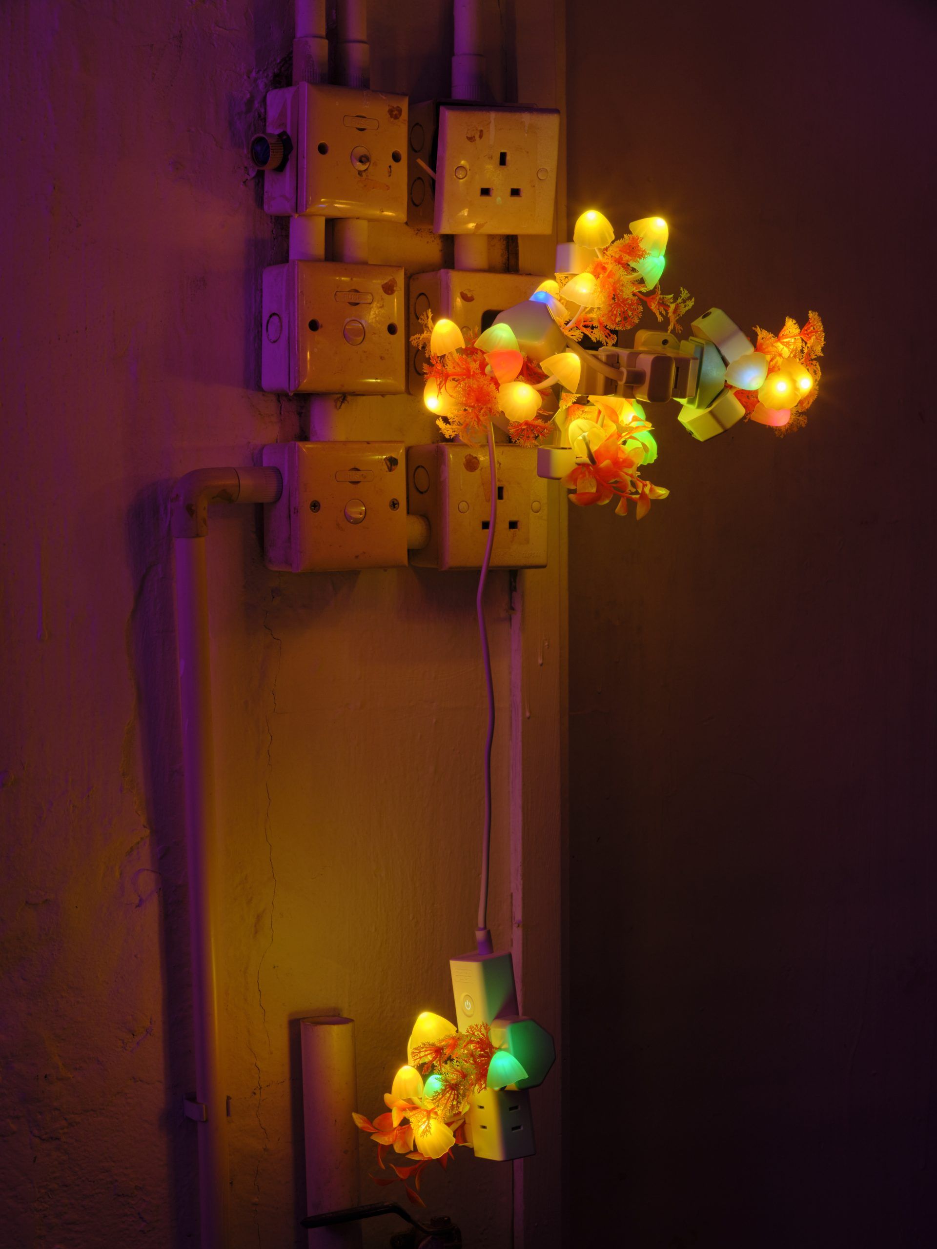 Biennale Bound: Trevor Yeung Takes on Venice