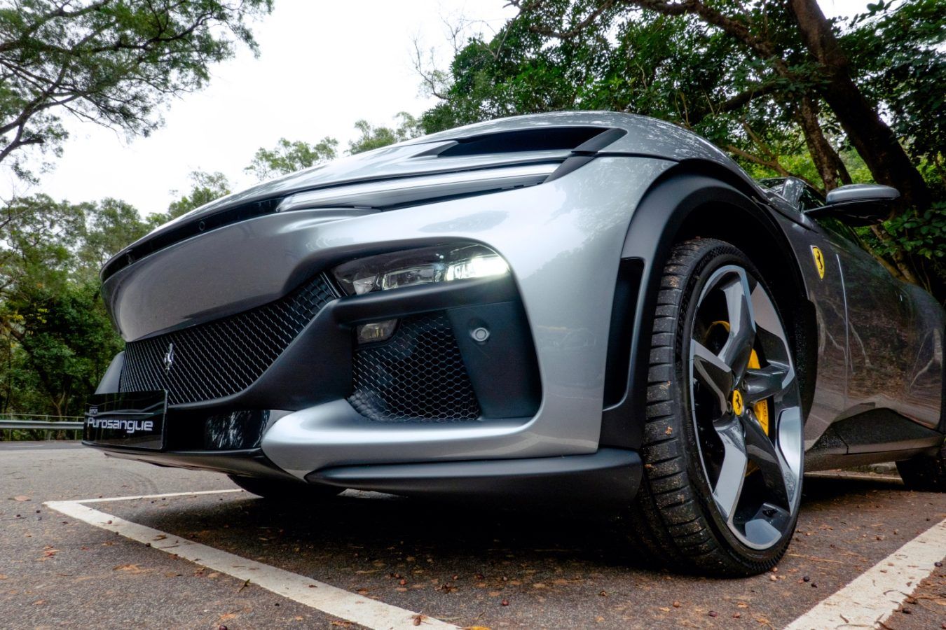 Test Driving the Ferrari Purosangue: In the Blood