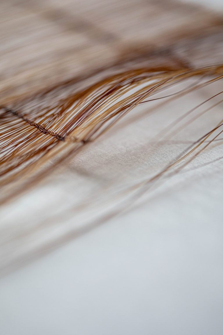 Dahye Jeong Designs a New Future for Horsehair