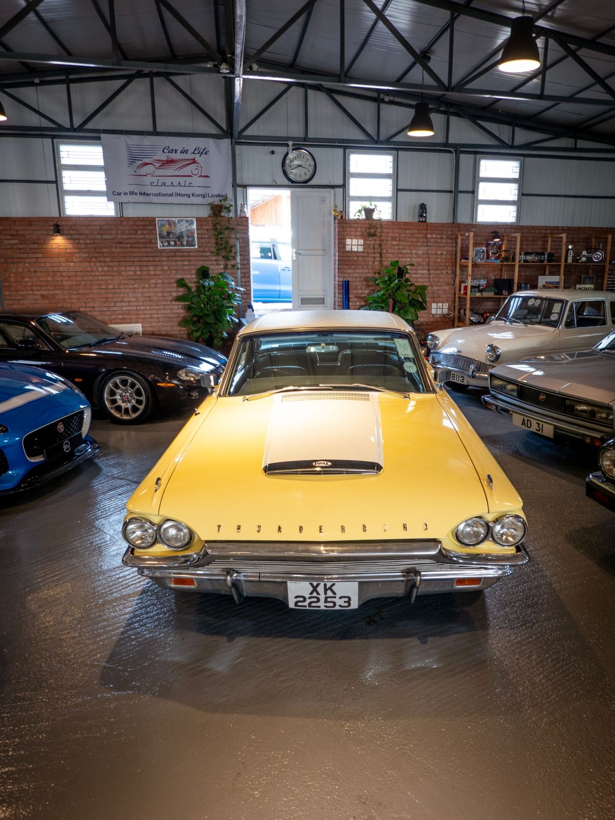 Eason Lin of Car in Life: Hooked on Classic Cars