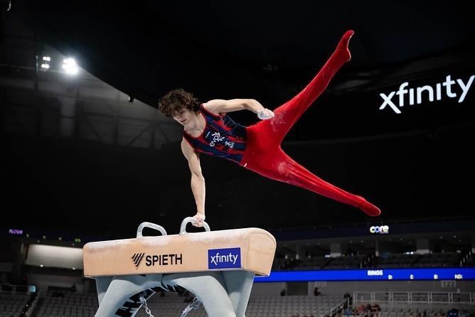 Who is Stephen Nedoroscik aka the 'Pommel Horse Guy'? - PrestigeOnline ...
