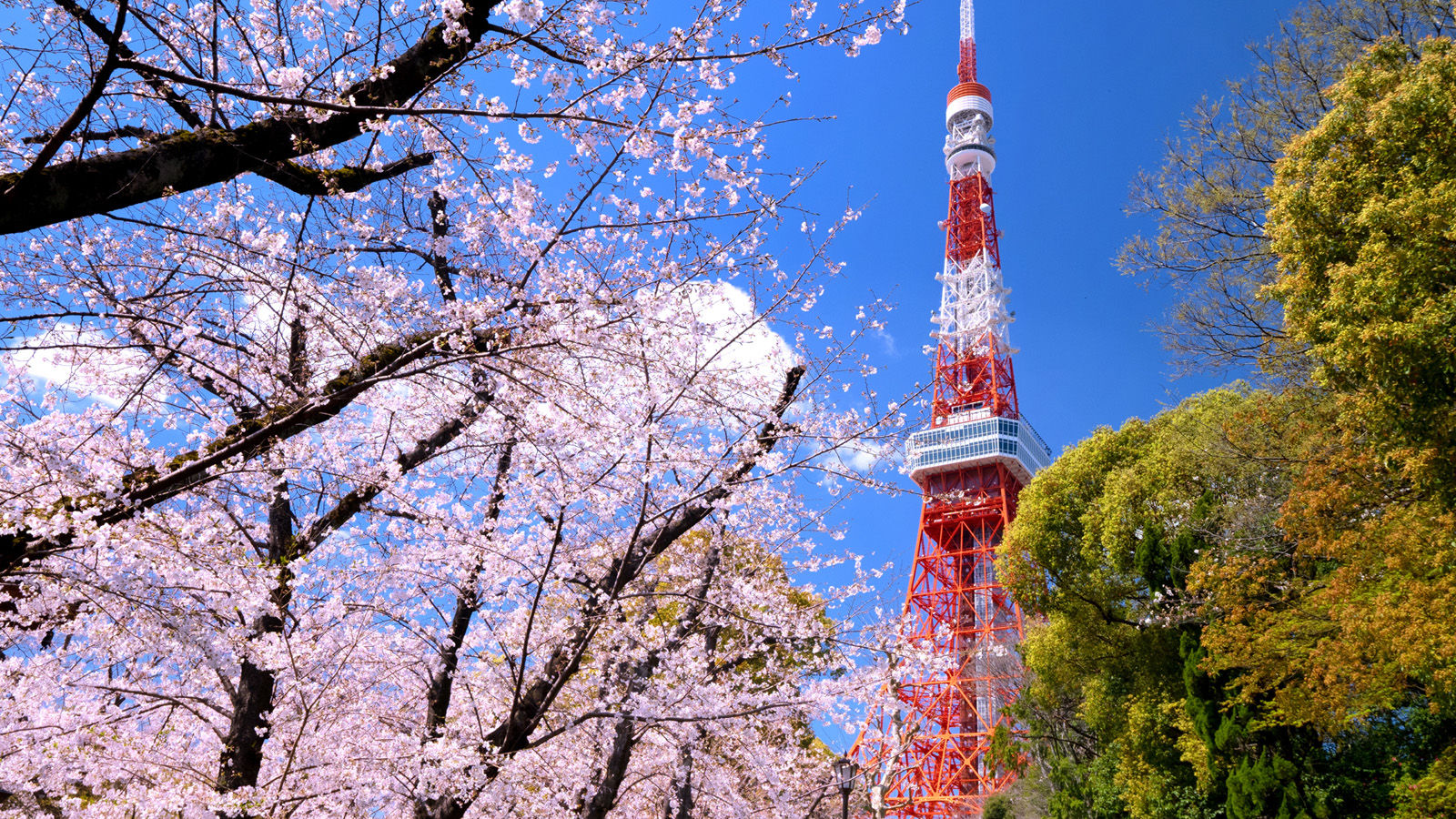 Exploring the Best Hotels and Hospitality Landmarks of Tokyo, Japan ...