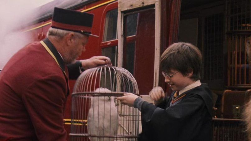 How to Celebrate Back to Hogwarts Day 2024