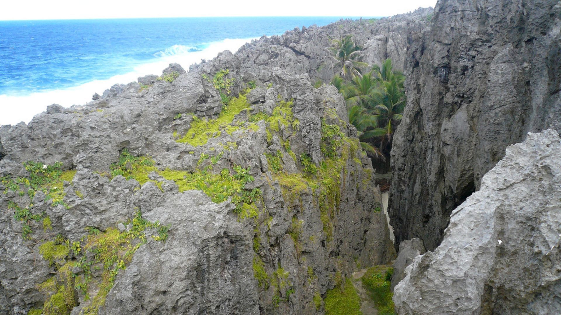 Niue Island, Guide to Explore the Polynesian Gem - PrestigeOnline Hong Kong
