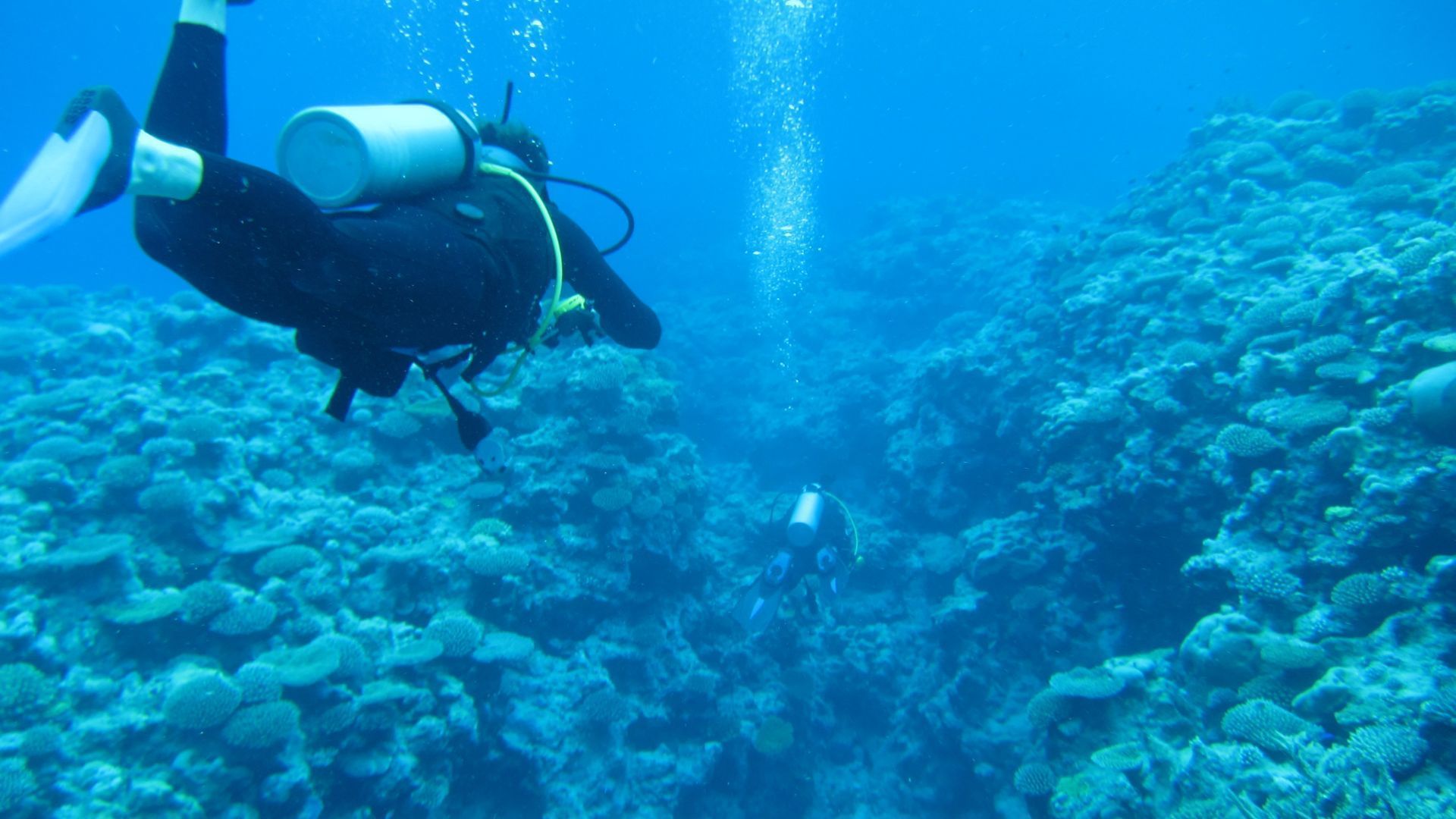 Niue Island, Guide to Explore the Polynesian Gem - PrestigeOnline Hong Kong