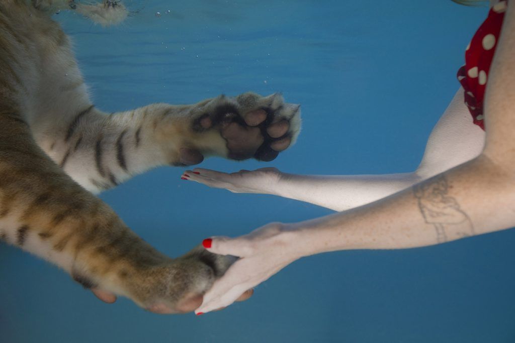 The Diverse Artistic Expression at 2024 Bangkok Art Biennale ...