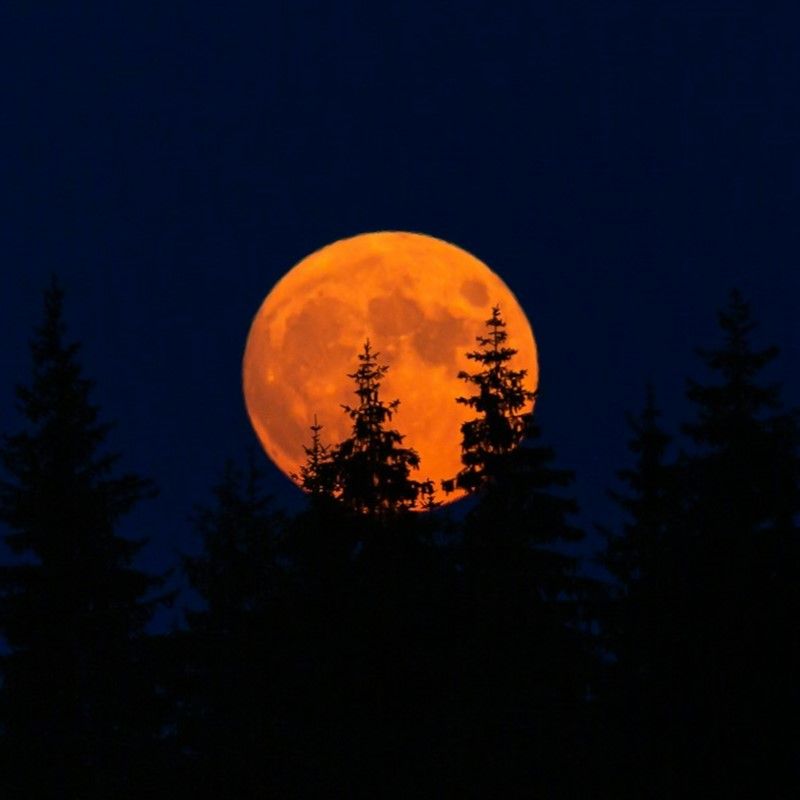 Full Moons of 2025 and their Effects on Zodiacs – PrestigeOnline Hong Kong