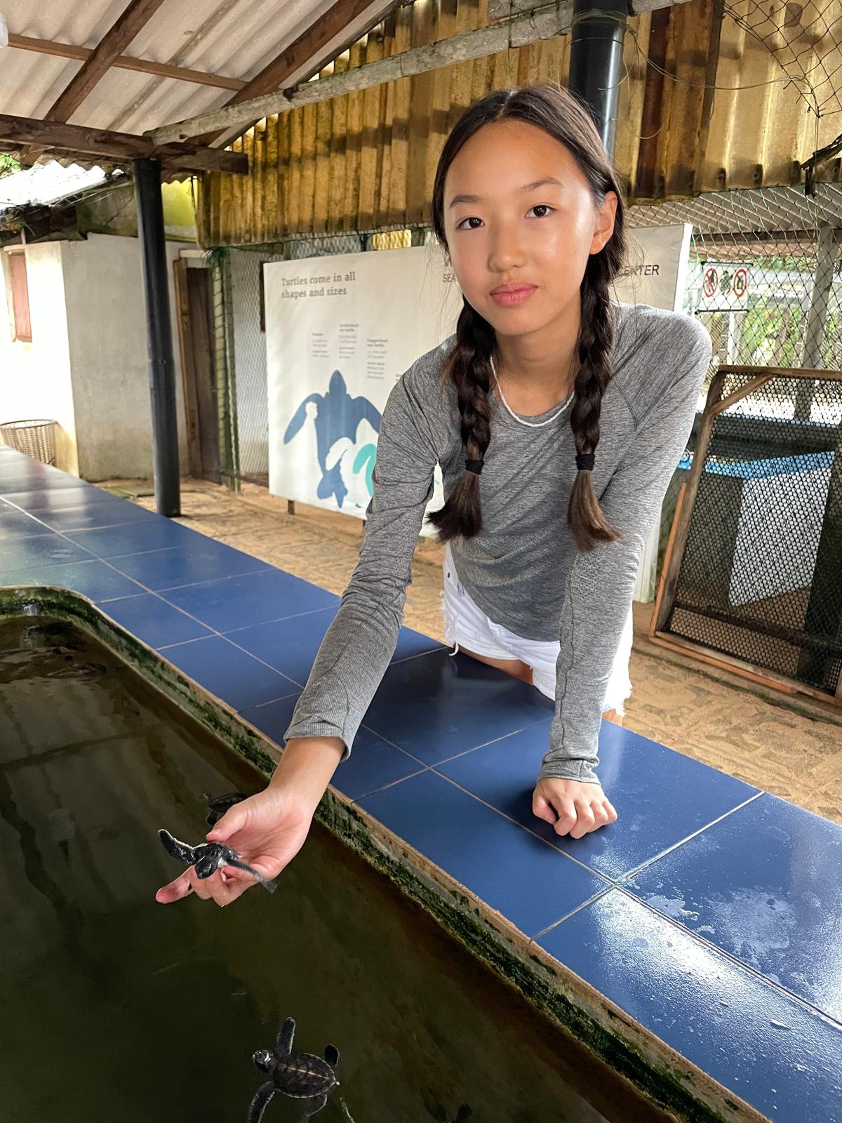 Hayley Tang on Peregrinations With A Purpose and Sea Turtles