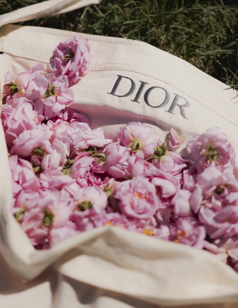 The New Les Récoltes Majeures From Dior Beauty is a Labour of Love