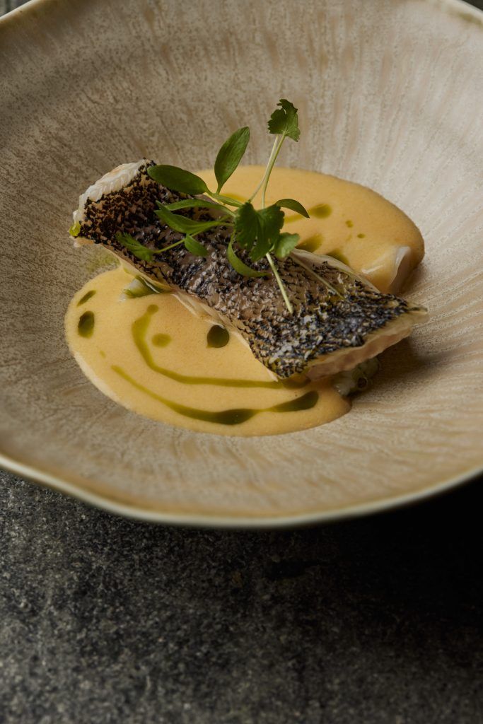 New on the Block: Some of the Most Exciting Recent Restaurant Openings ...