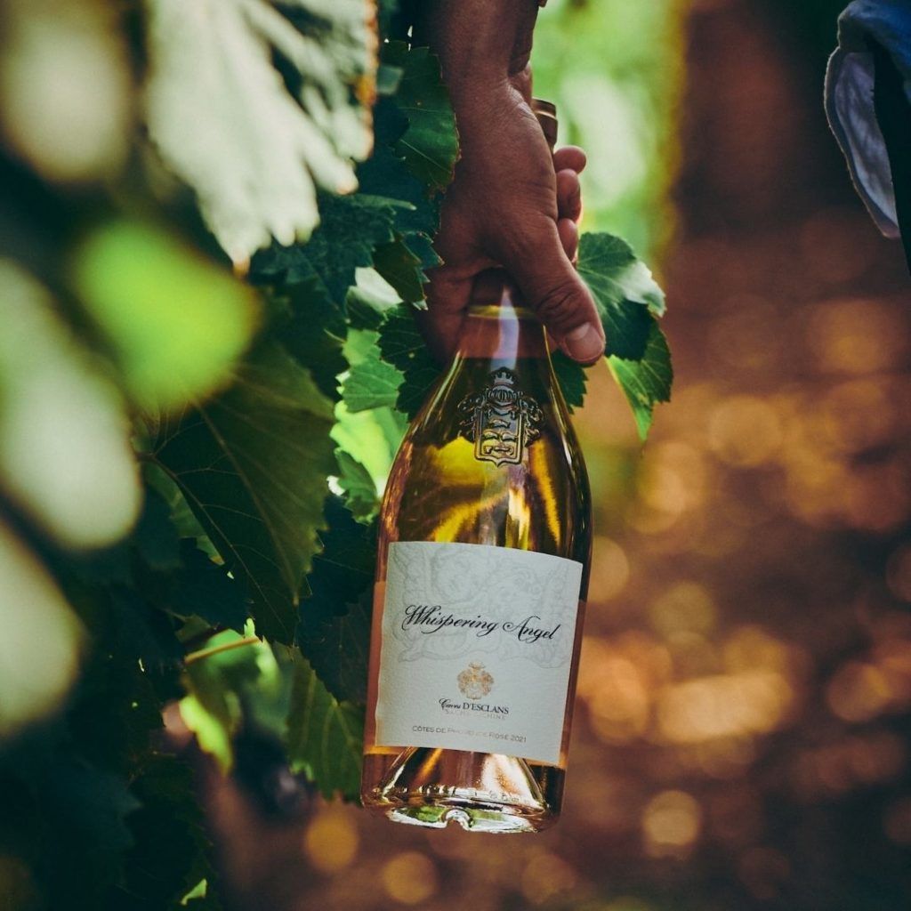 16 Most Expensive Desserts In The World