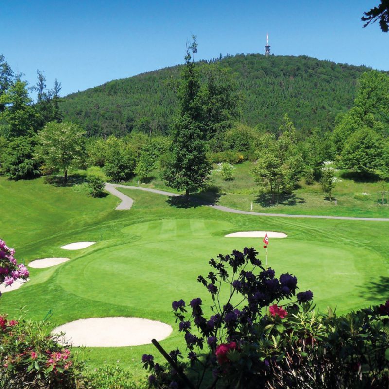 What to Expect from the Players at the 2025 US Open