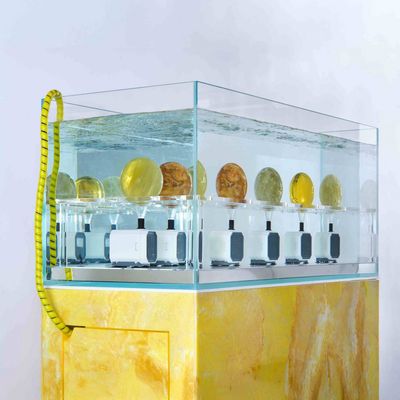 The Most Expensive Labubu Dolls Ever Sold